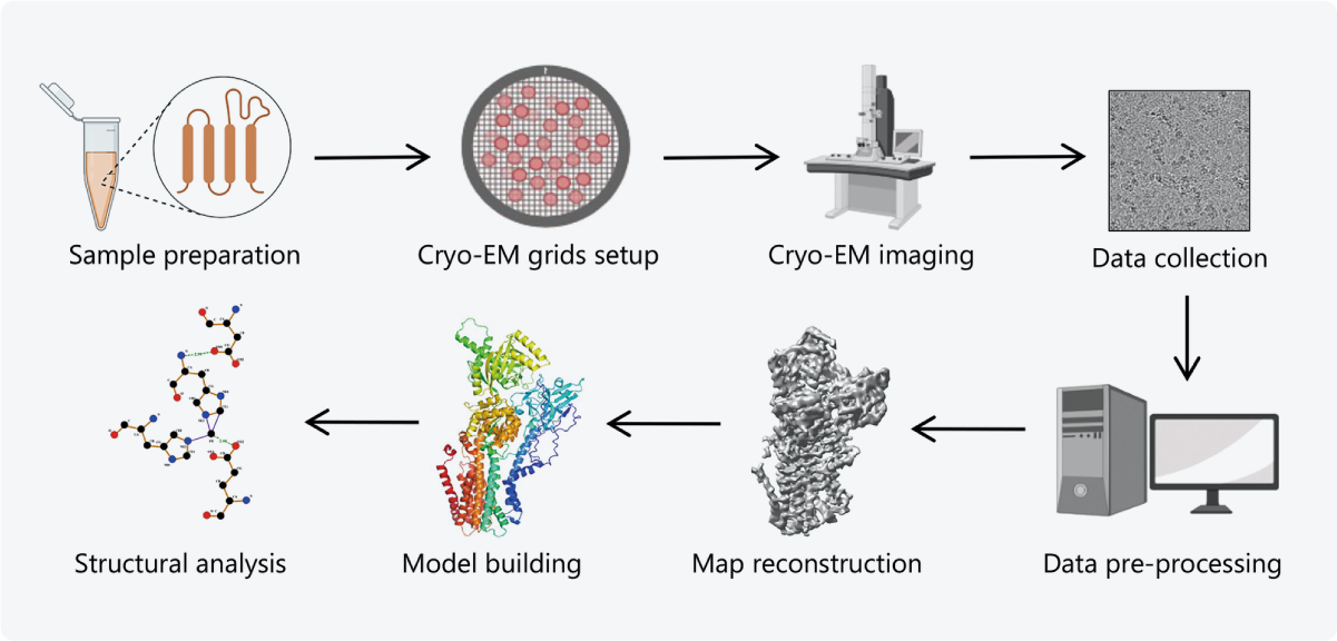 How Cryo Electron Microscopy Can Accelerate Drug Discovery 